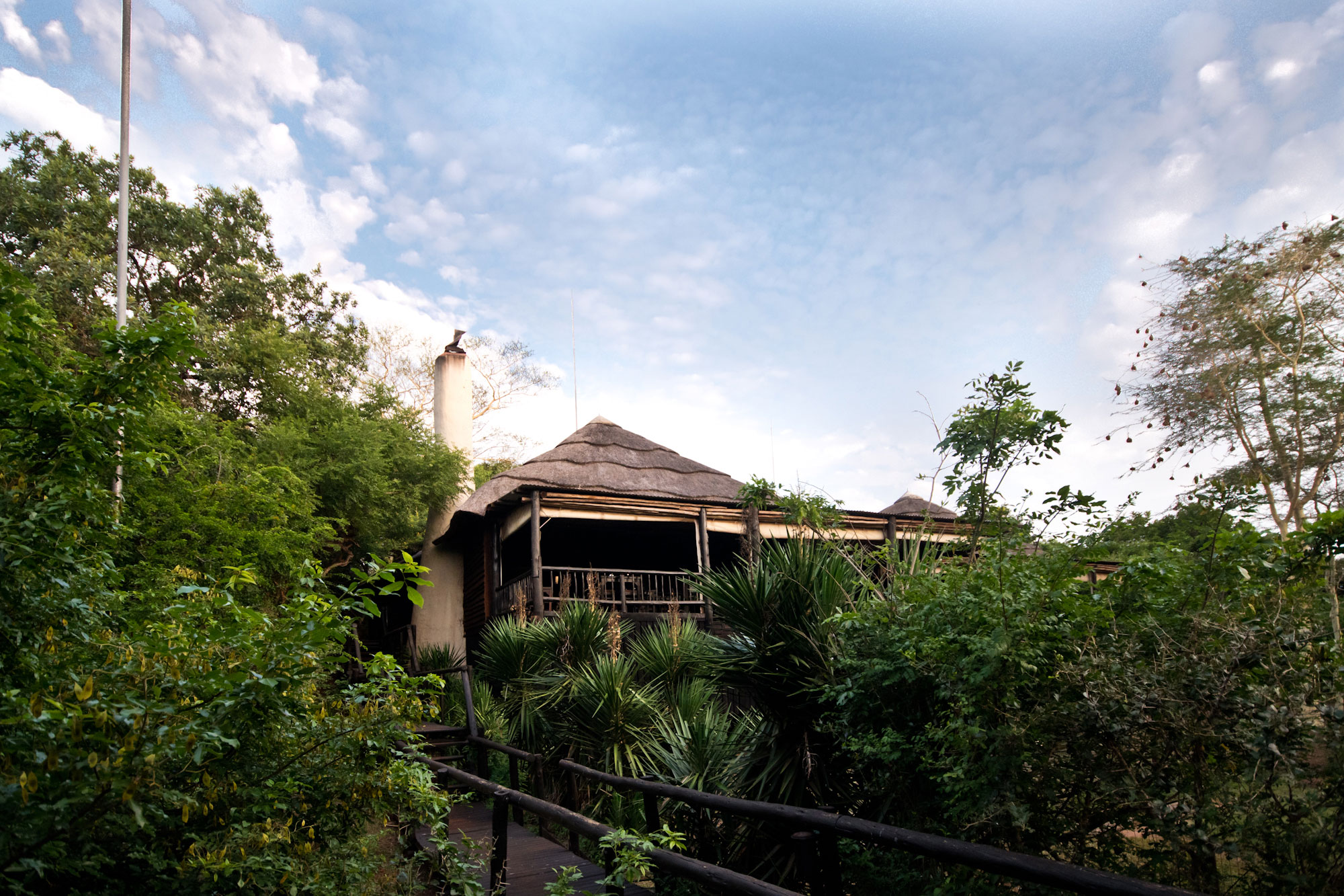Home - Ubizane Zululand Safari & Tree Lodge