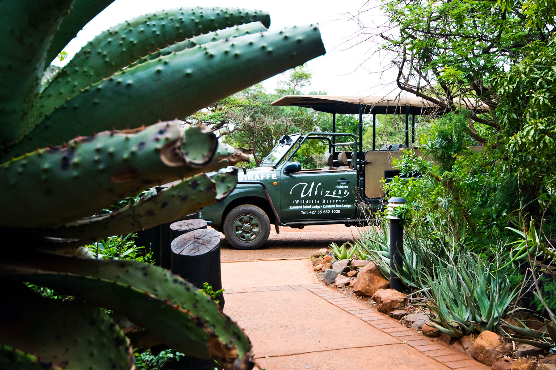 Home - Ubizane Zululand Safari & Tree Lodge