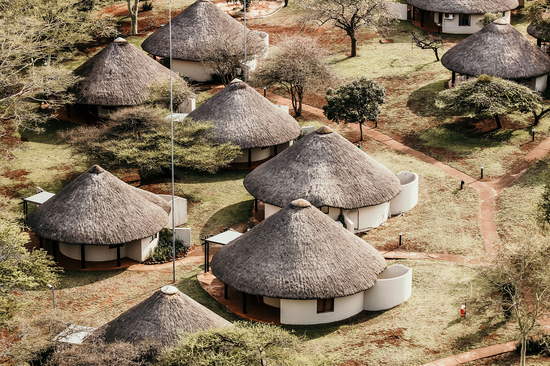 Home - Ubizane Zululand Safari & Tree Lodge