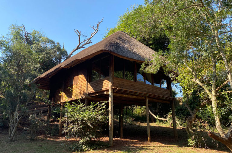 Bookings - Ubizane Zululand Safari & Tree Lodge